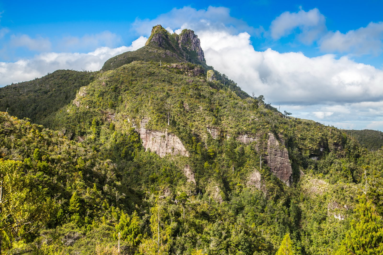 Coromandel Pinnacles walk | ivangrigoryev.com