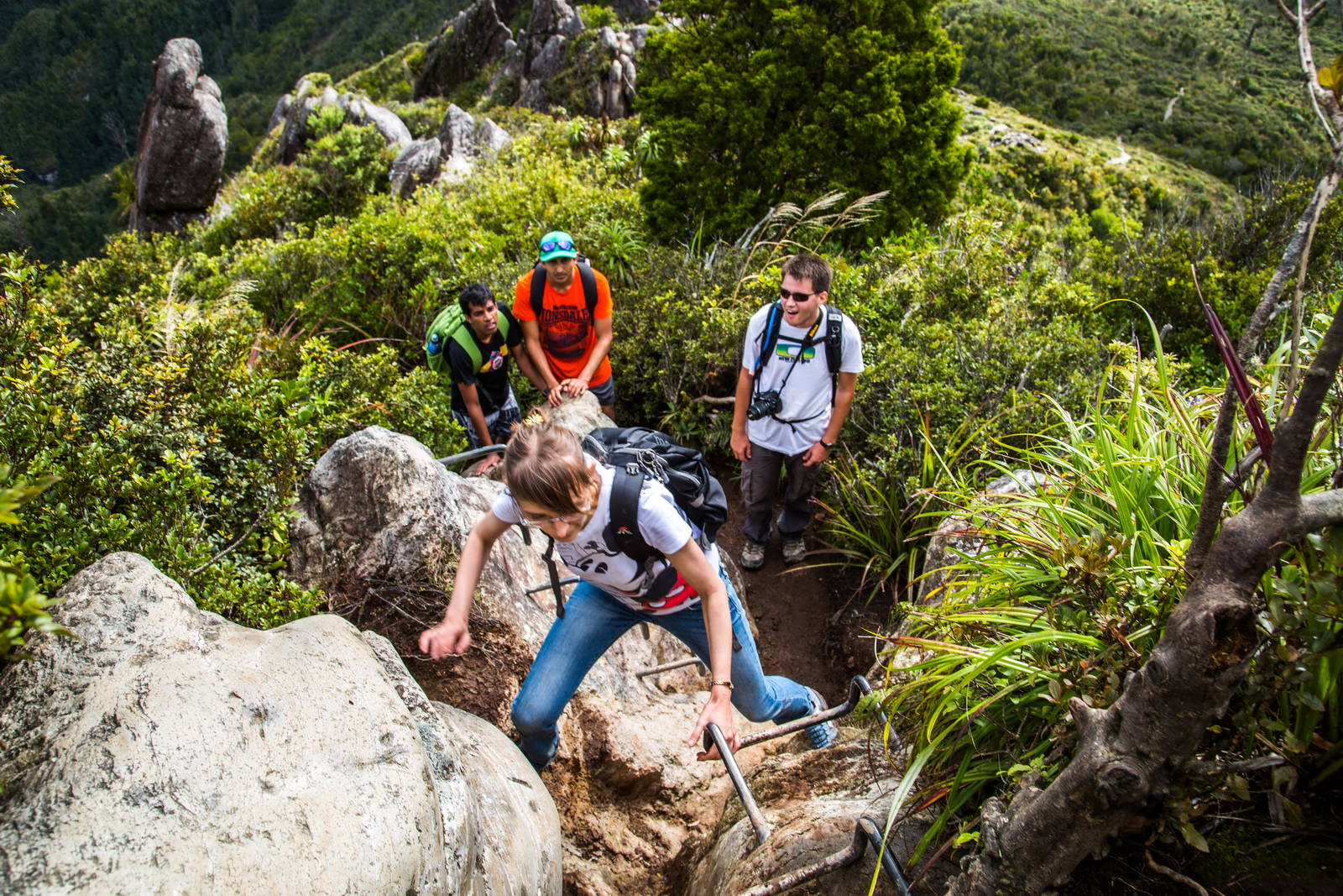 Coromandel Pinnacles walk | ivangrigoryev.com