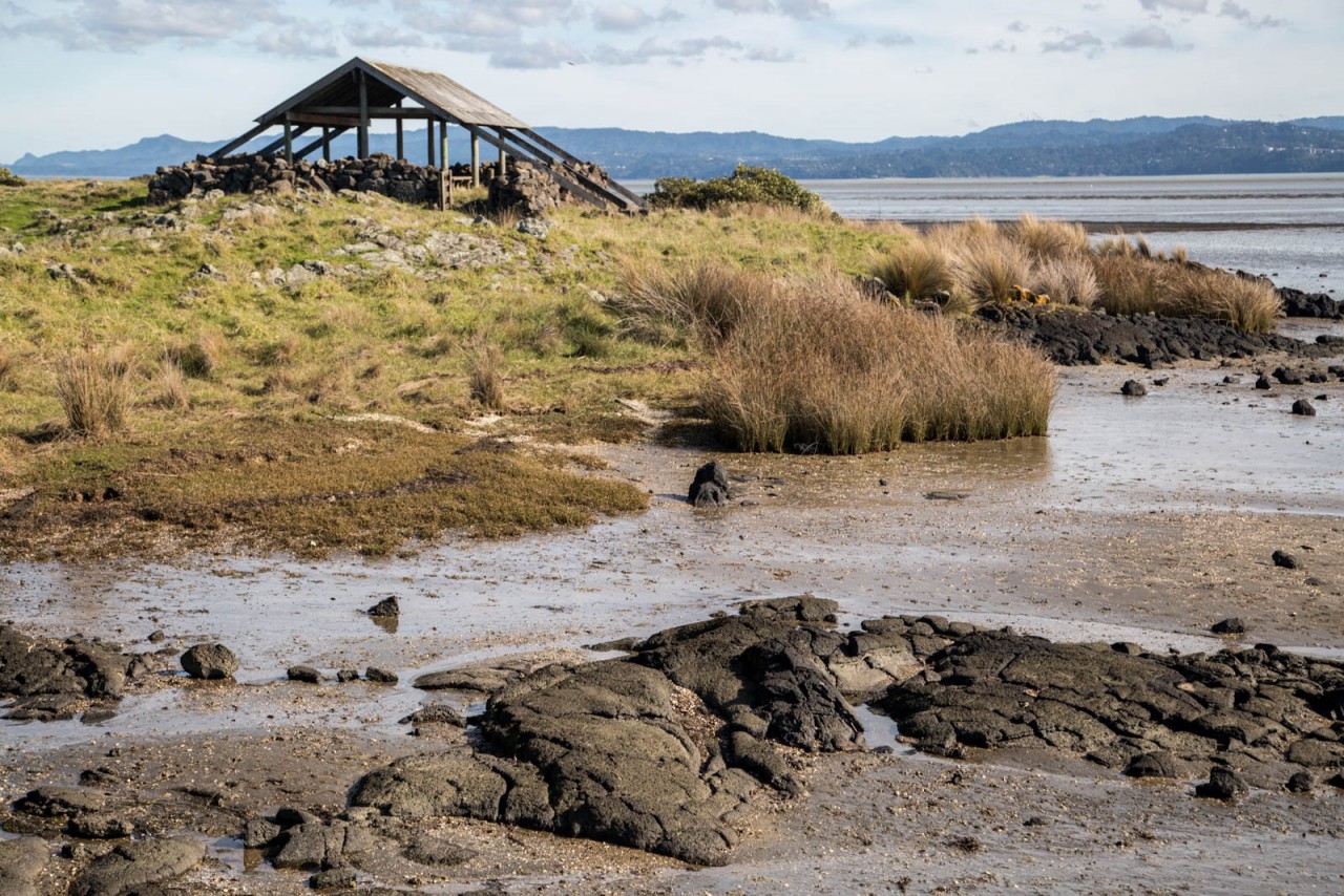 Ambury Regional Park | ivangrigoryev.com